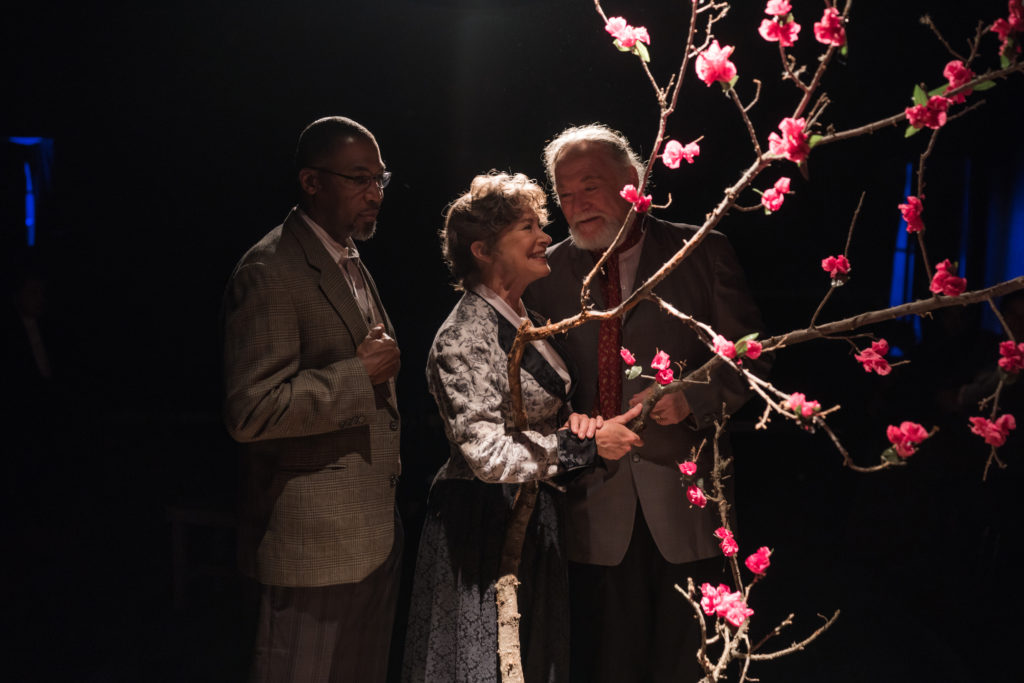 Chekhov's Poignant 'The Cherry Orchard' at the Classic Theatre ...